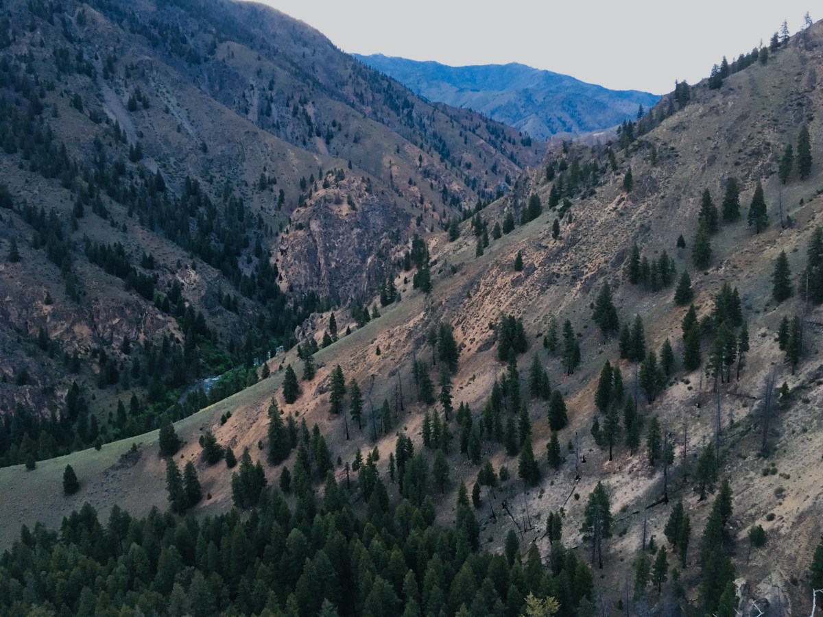 The Frank Open 2021 – Bedrock & Paradox